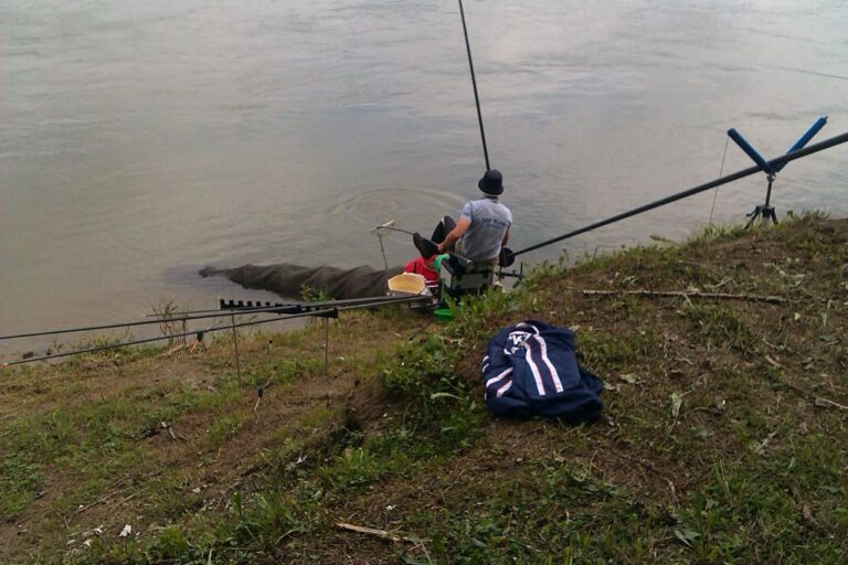 Galerija – ŠRU "Šaran" Bakić