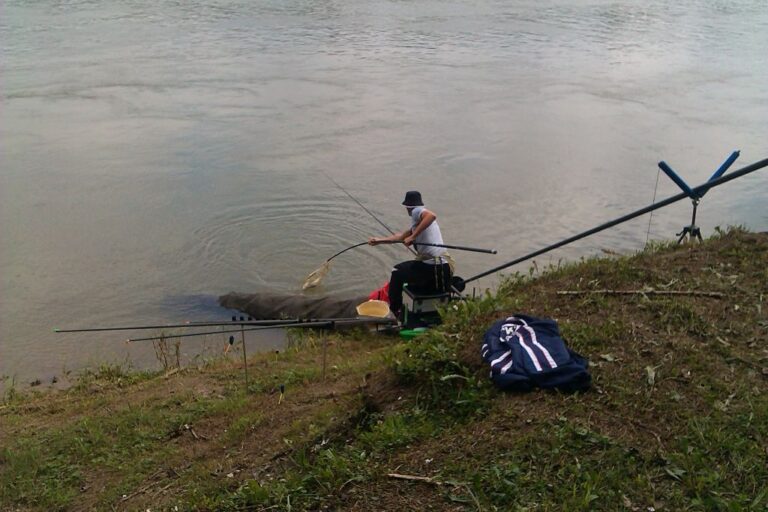 Galerija – ŠRU "Šaran" Bakić