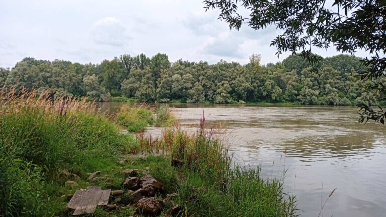 Galerija – ŠRU "Šaran" Bakić