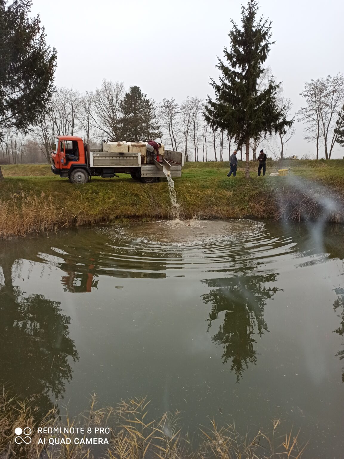 Galerija – ŠRU "Šaran" Bakić